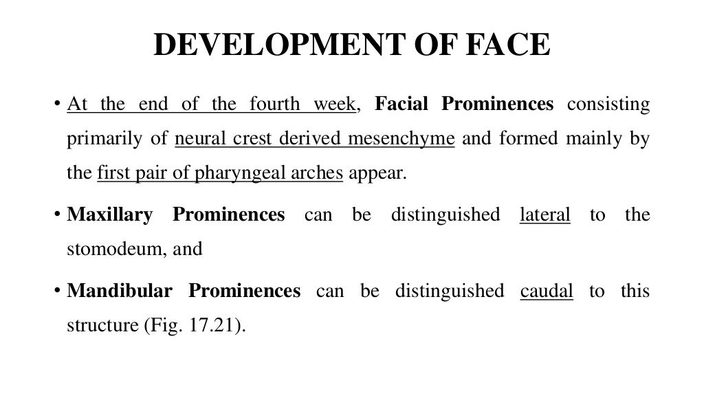 Head and neck - 2.pptx