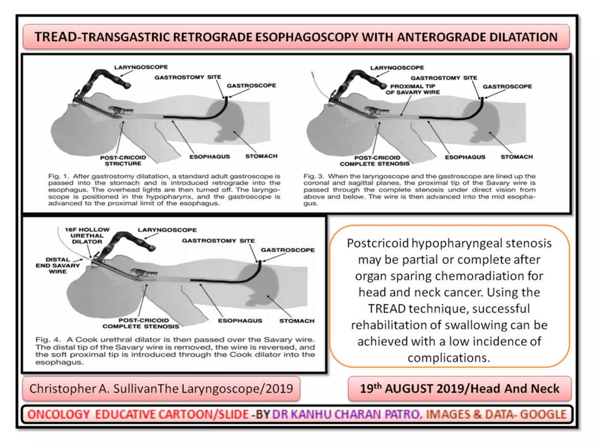 Head and neck CARTOONS | PPT