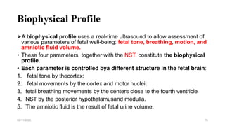Physical Assessment for Pregnant women | PPTX