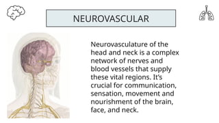 head and neck.pptx written report for anatomy and physiology | PPTX
