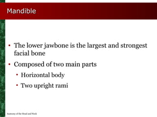 Head and neck rs | PPT