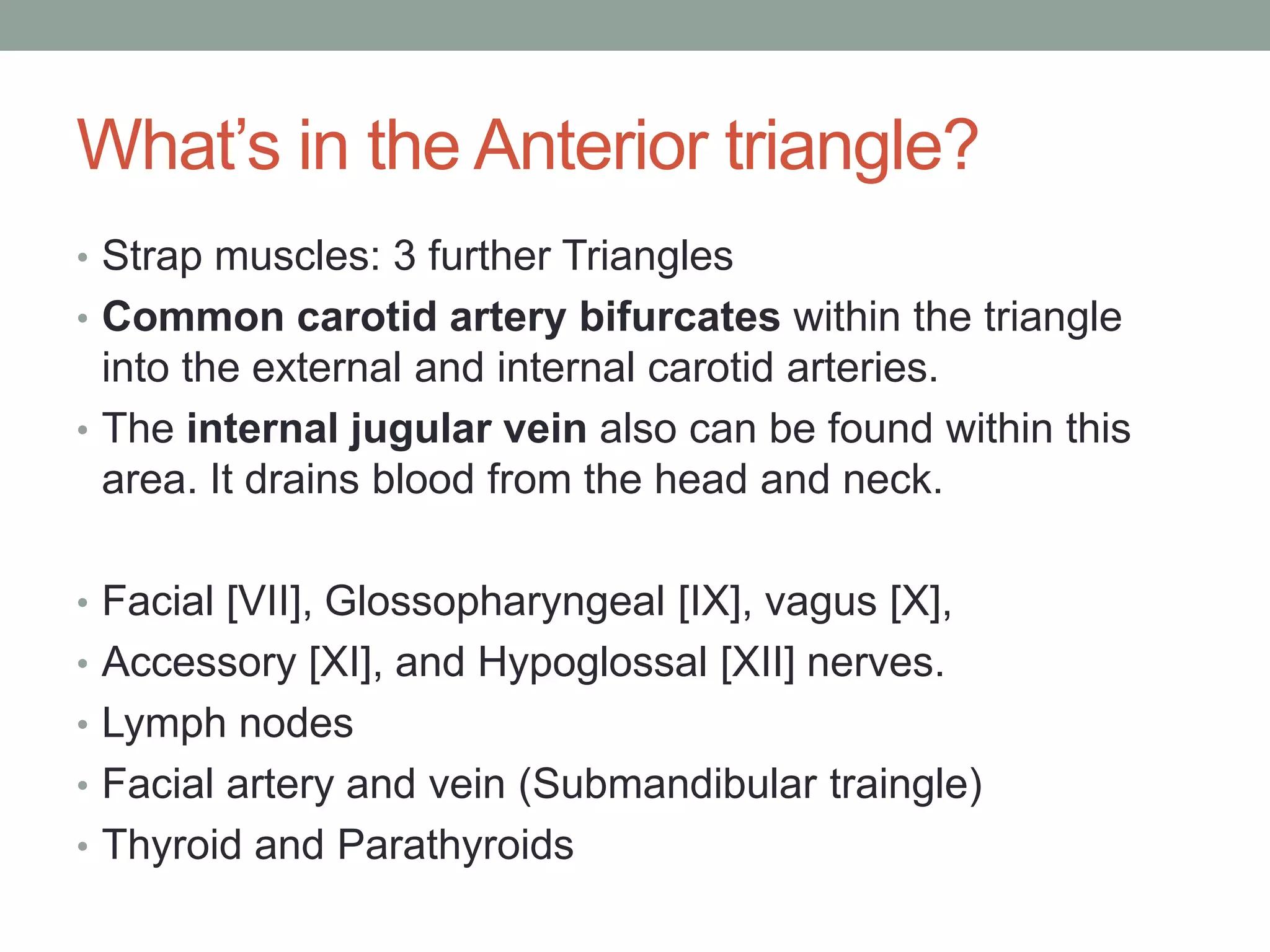 Head and neck anatomy | PPTX