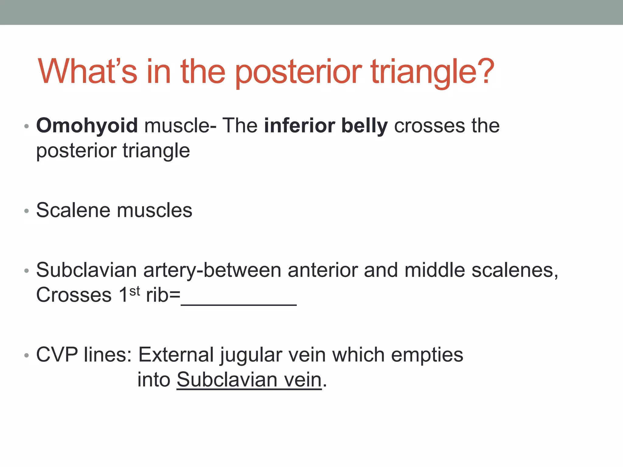 Head and neck anatomy | PPTX