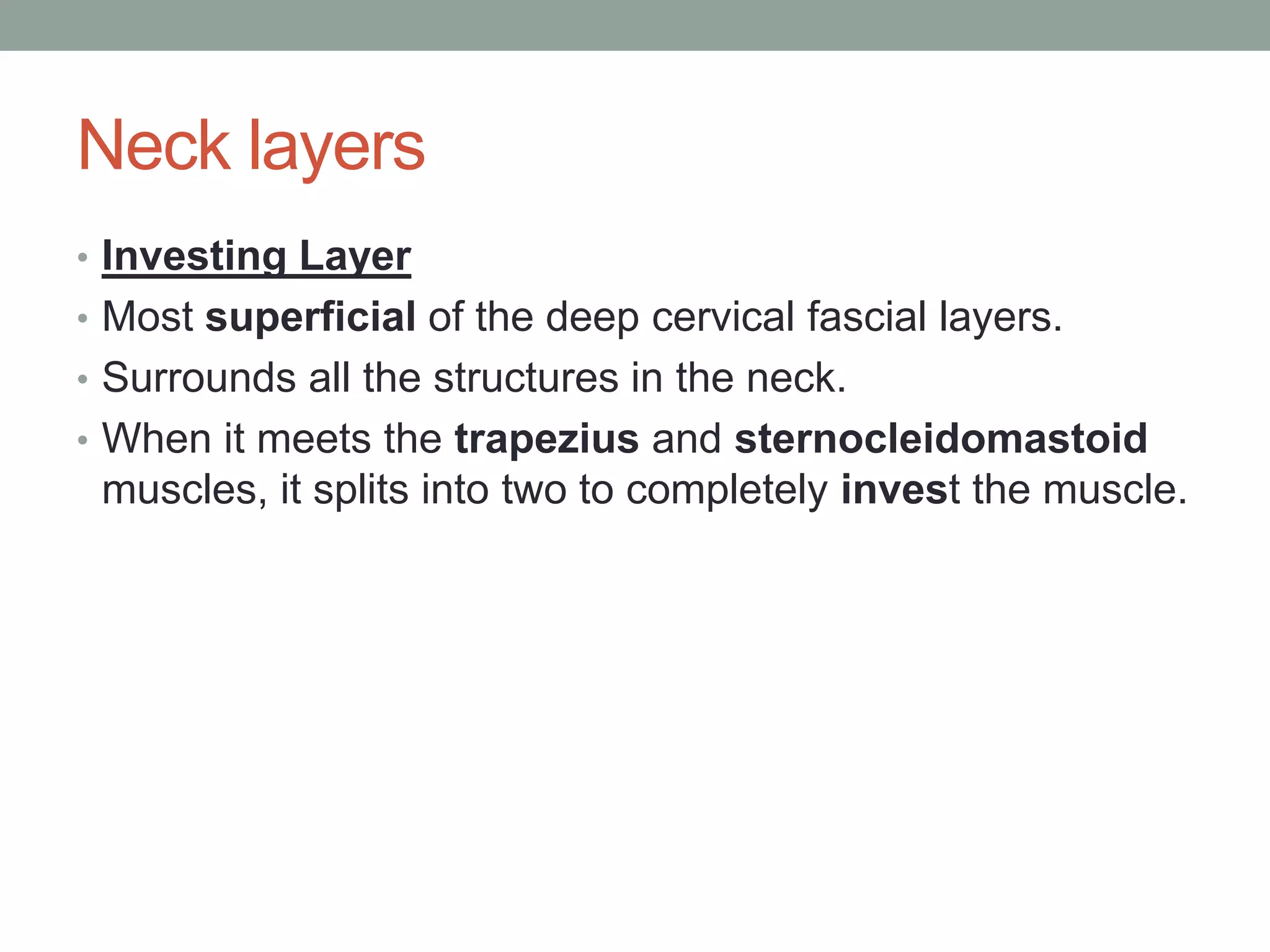 Head and neck anatomy | PPTX