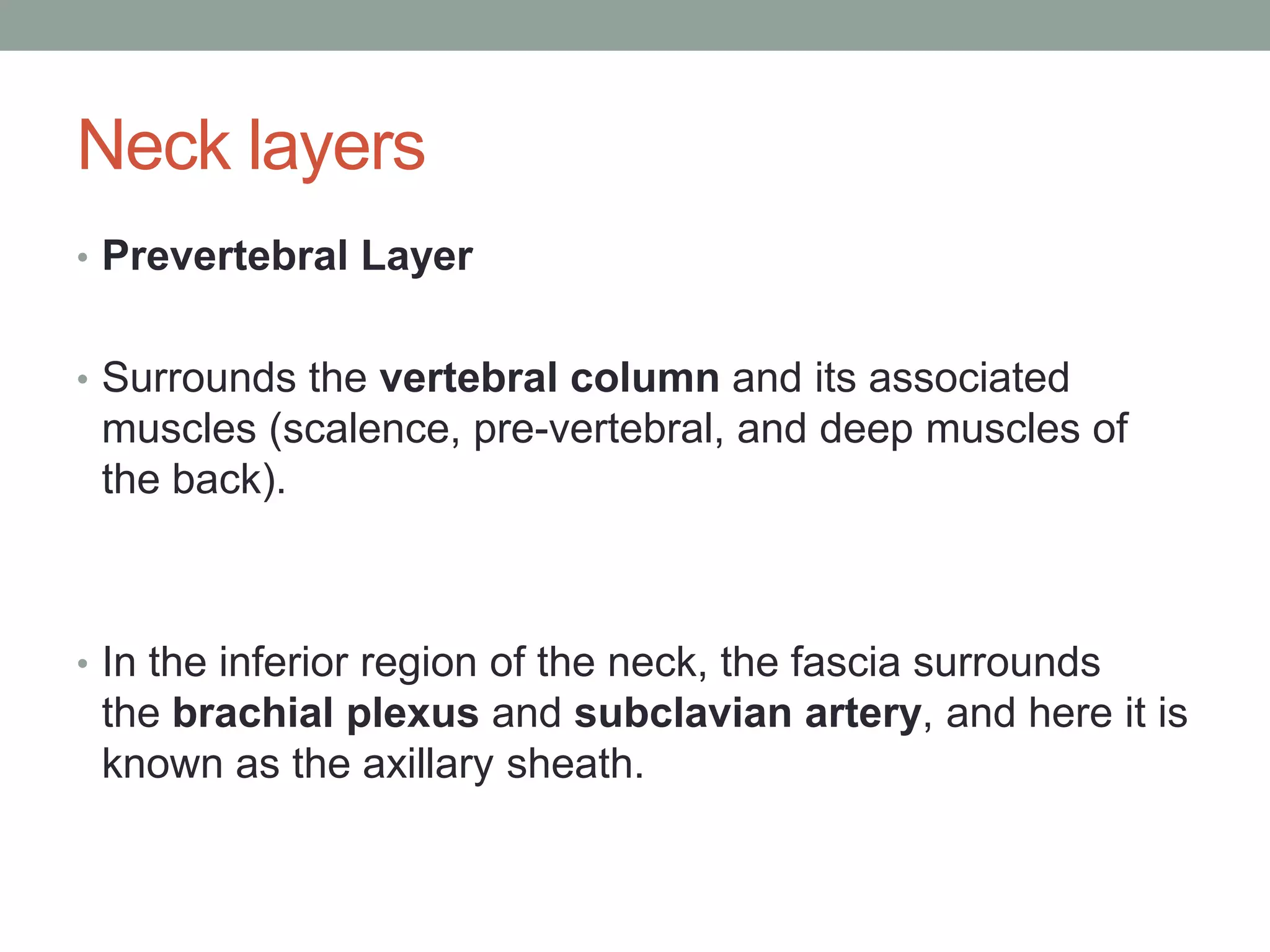 Head and neck anatomy | PPTX