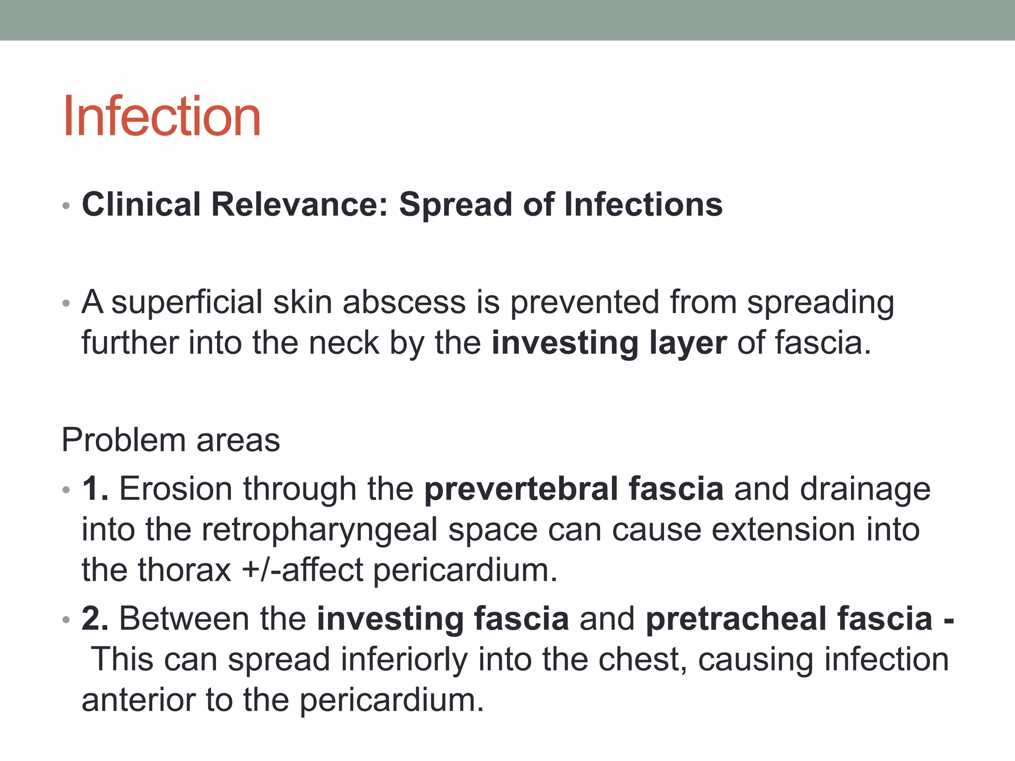 Head and neck anatomy | PPTX