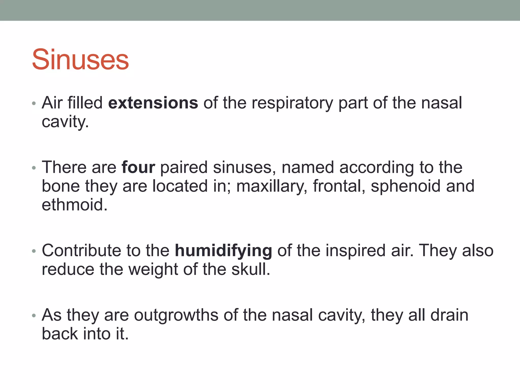 Head and neck anatomy | PPTX