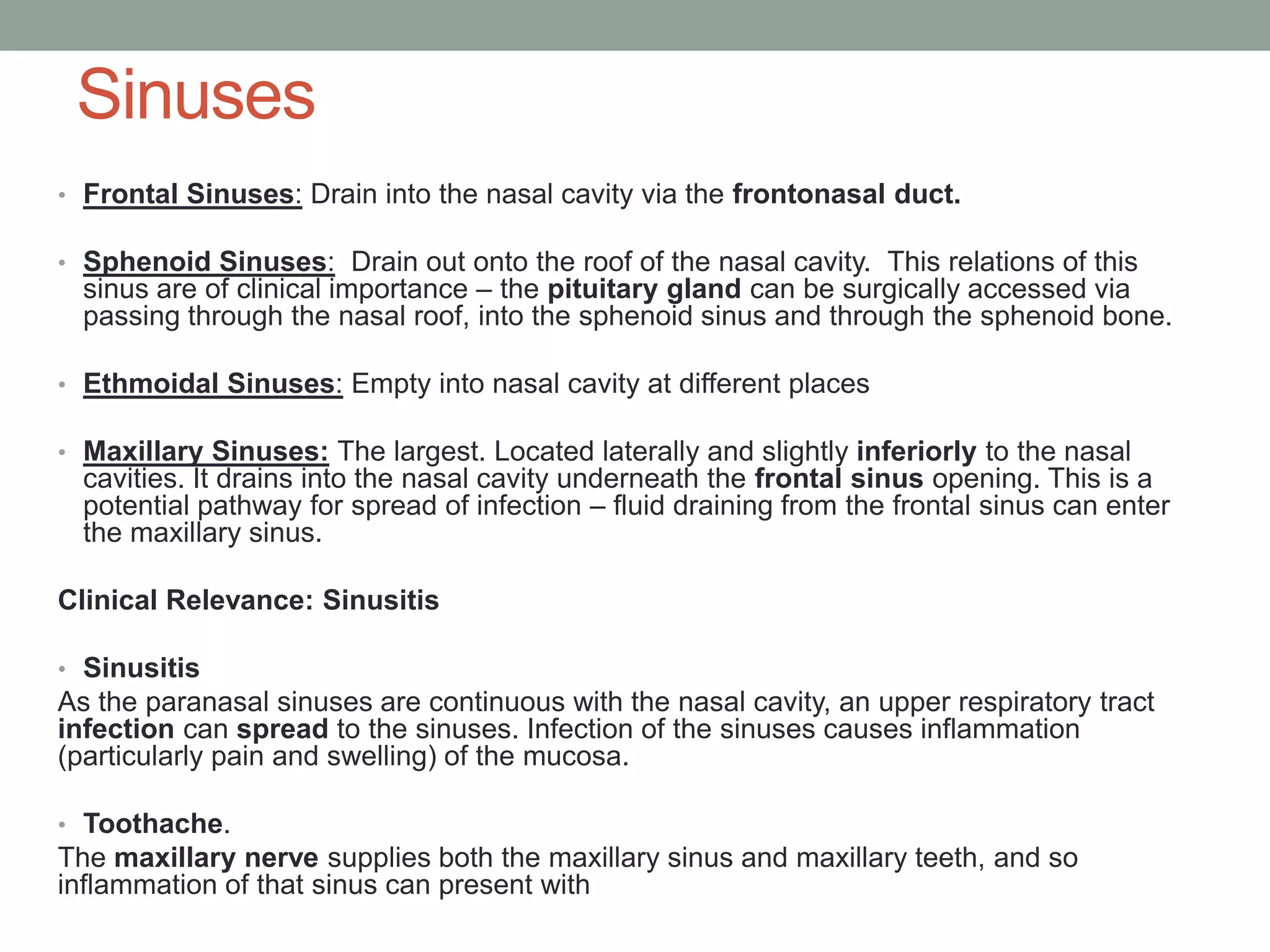 Head and neck anatomy | PPTX