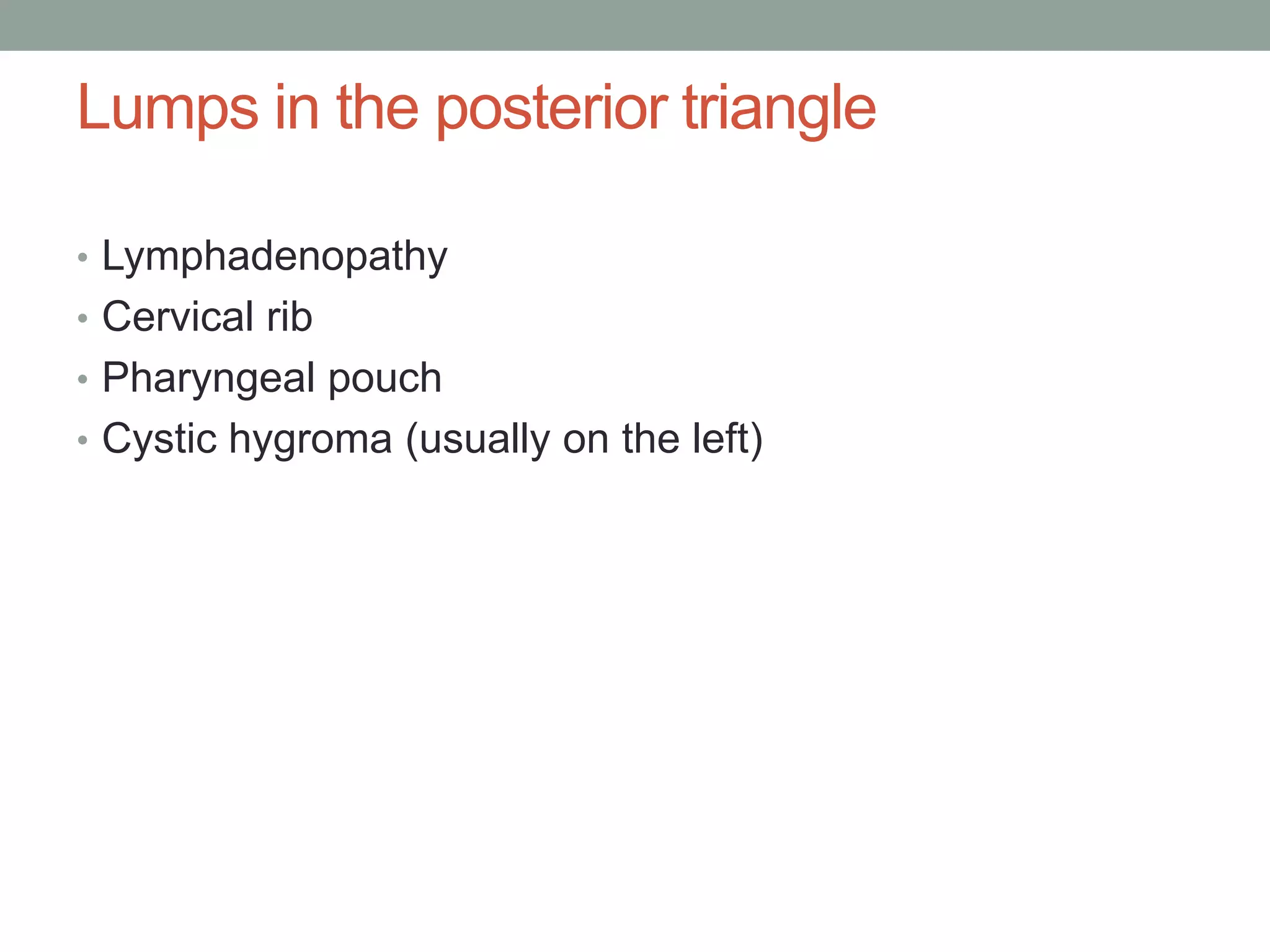 Head and neck anatomy | PPTX