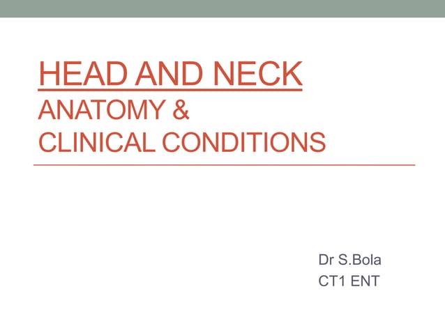 Head and neck anatomy | PPTX