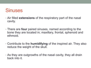 Head and neck anatomy | PPTX