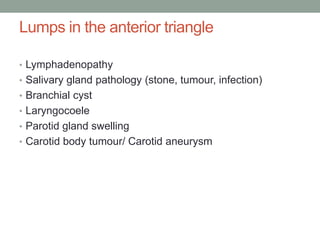 Head and neck anatomy | PPTX