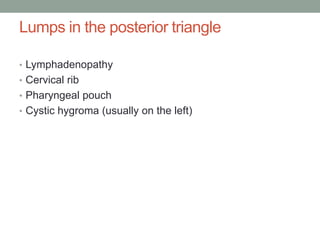 Head and neck anatomy | PPTX