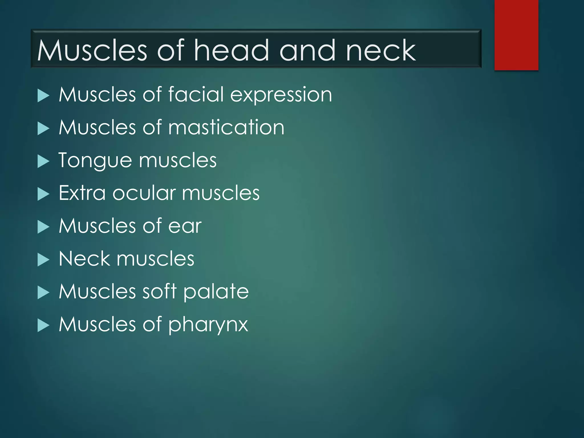 Head and neck anatomy | PPTX