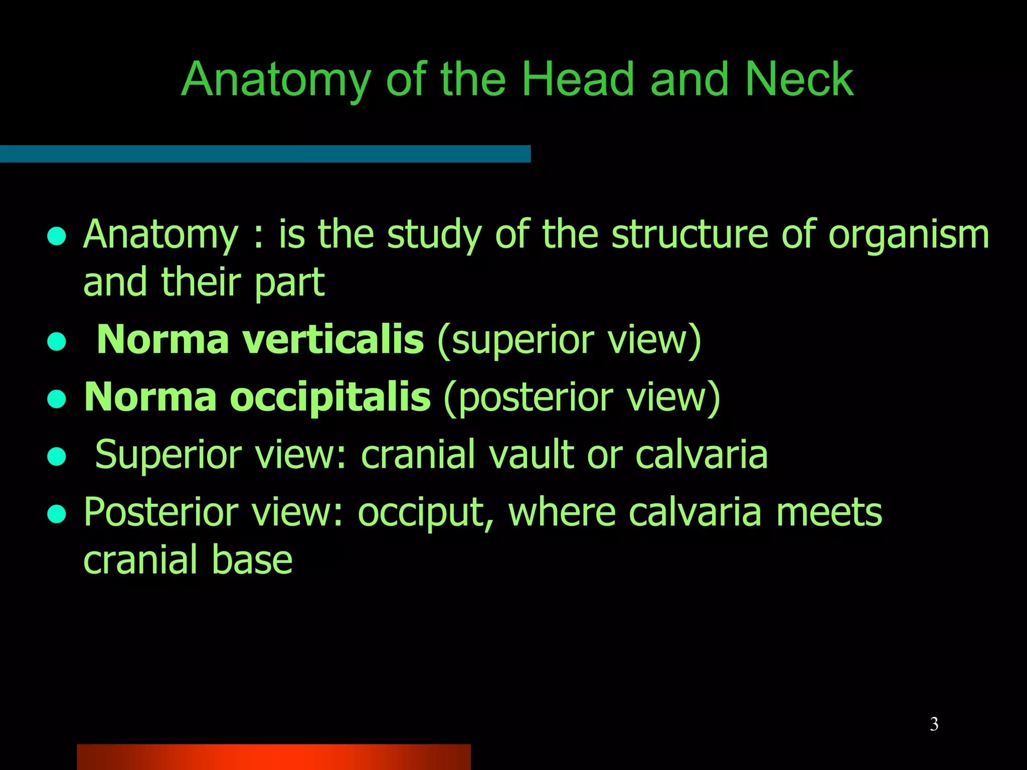 head and neck anatomy.ppt
