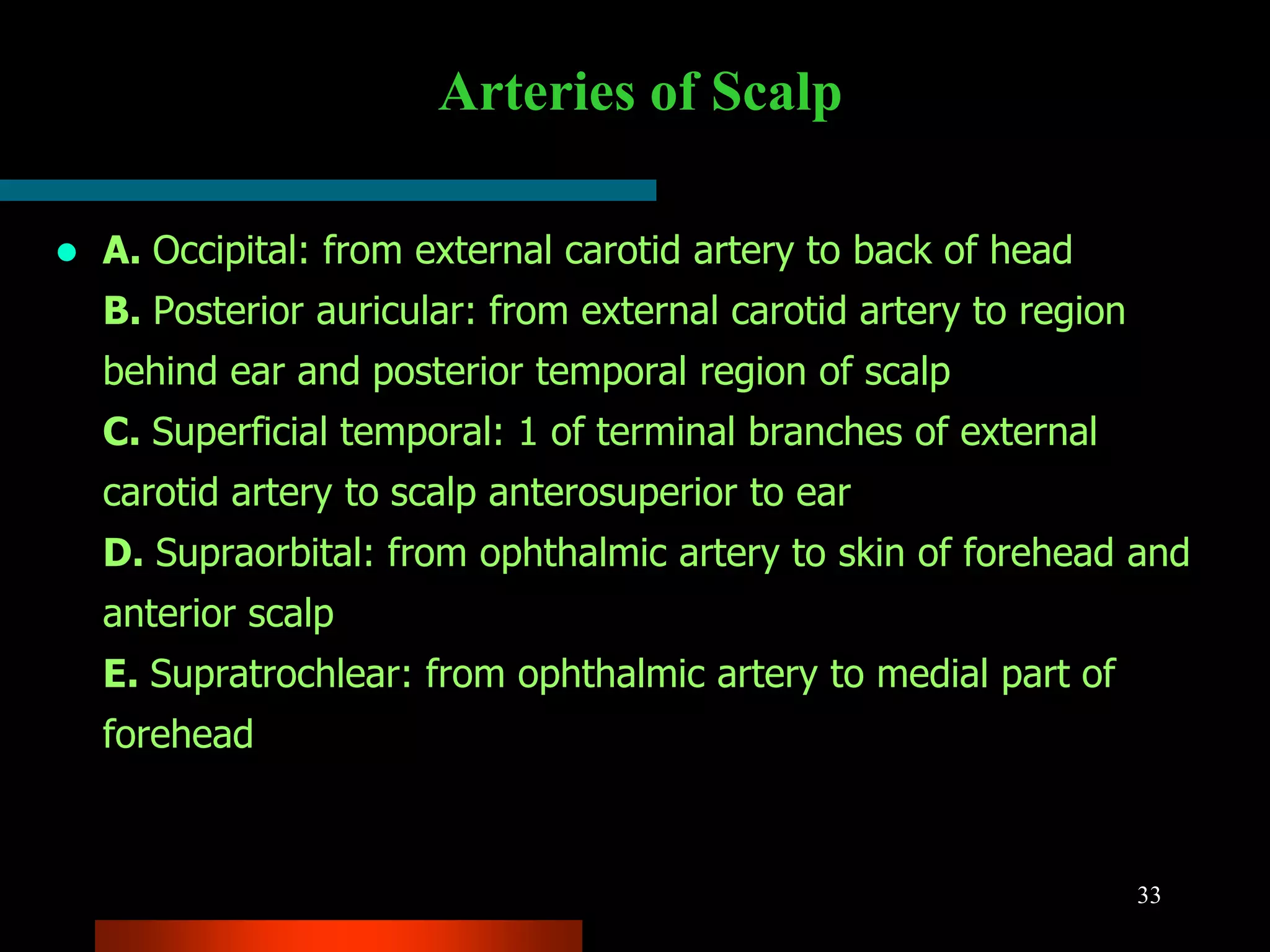 head and neck anatomy.ppt