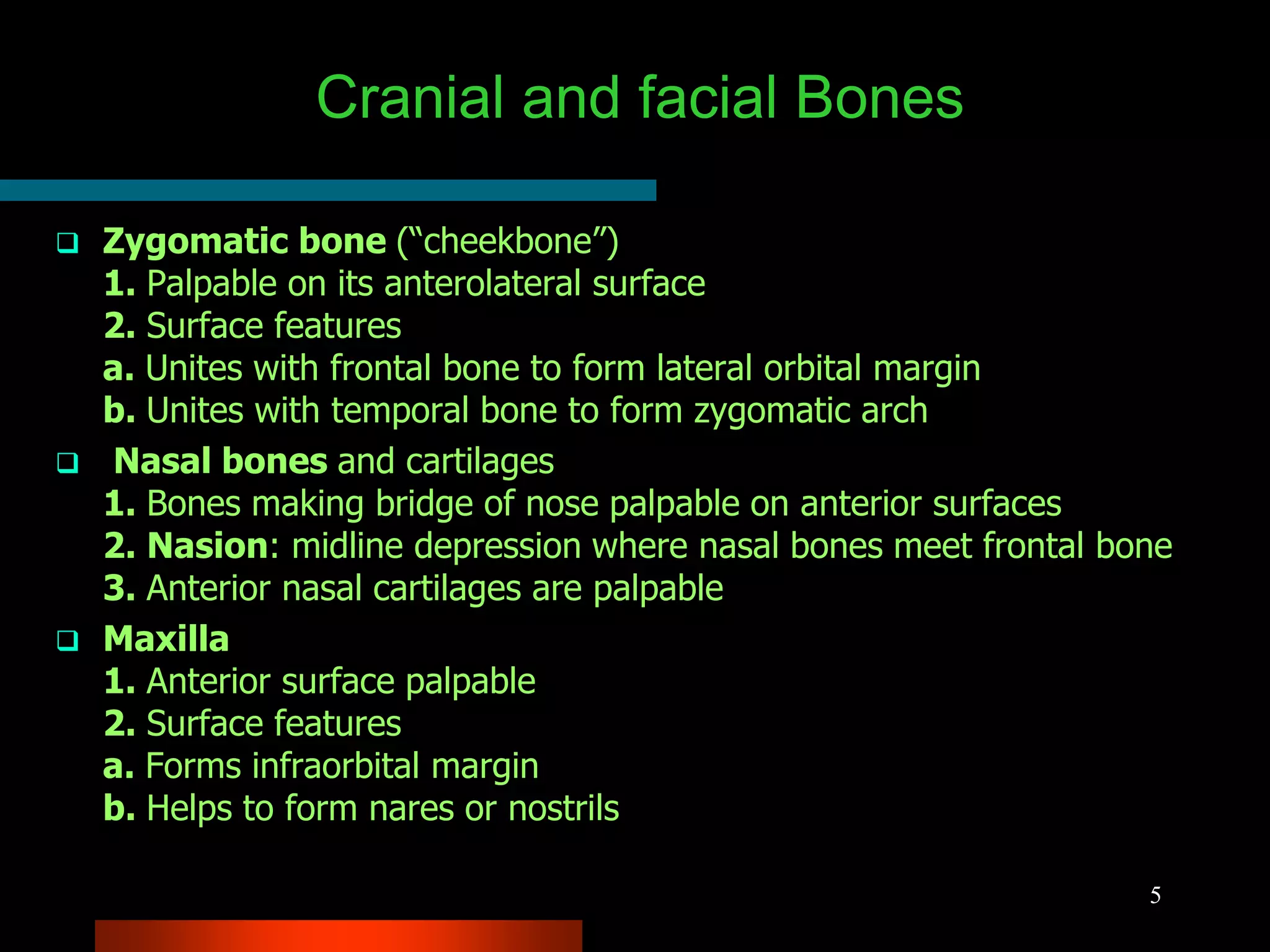 head and neck anatomy.ppt