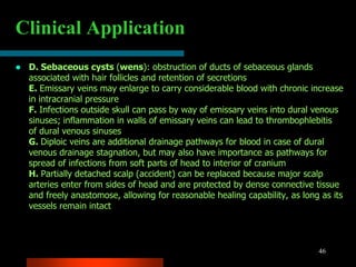 head and neck anatomy.ppt