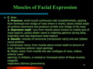 head and neck anatomy.ppt