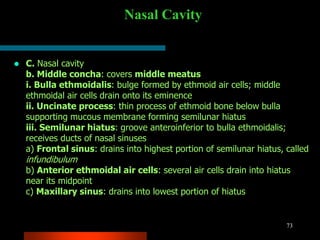 head and neck anatomy.ppt