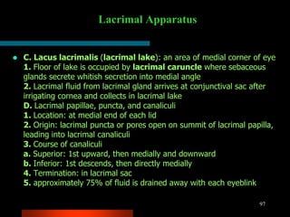 head and neck anatomy.ppt