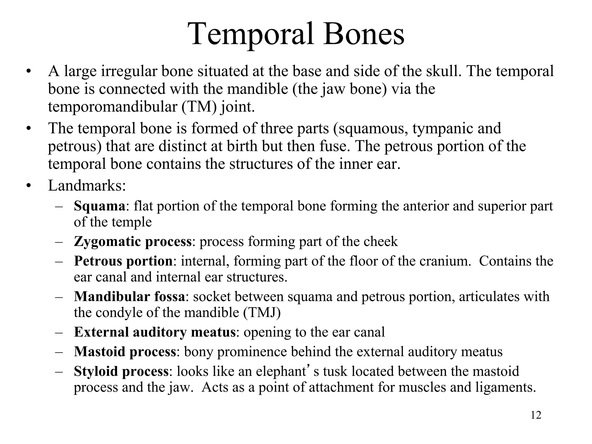 head and neck anatomy 1-3.pdf