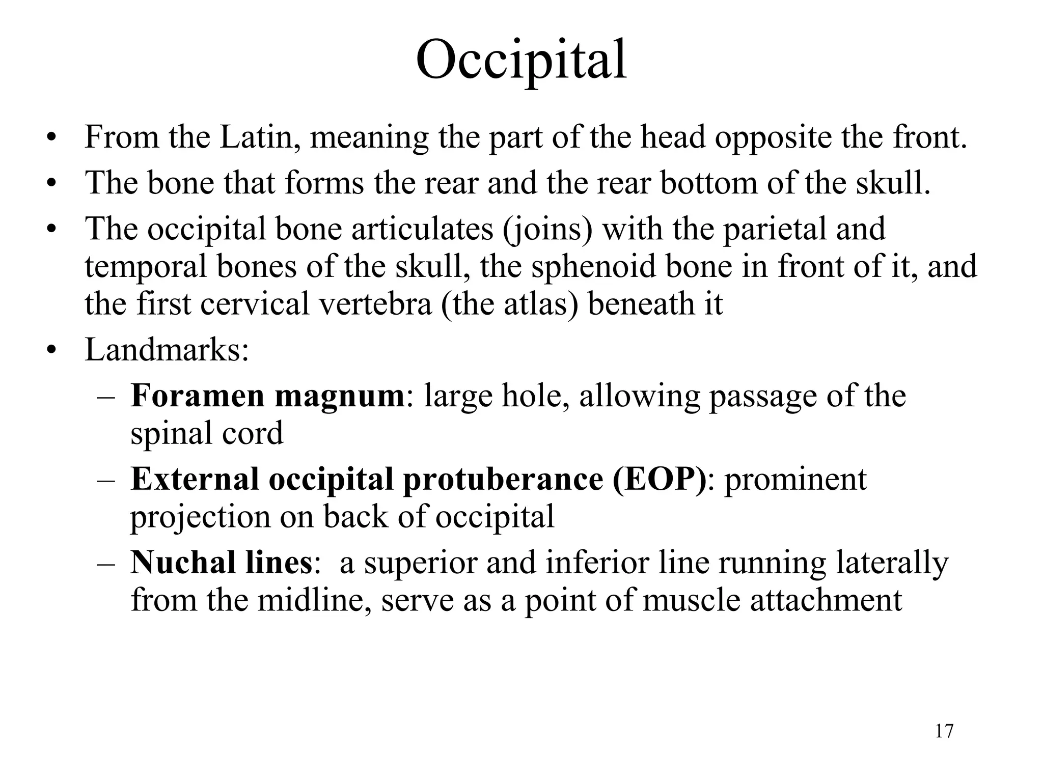 head and neck anatomy 1-3.pdf