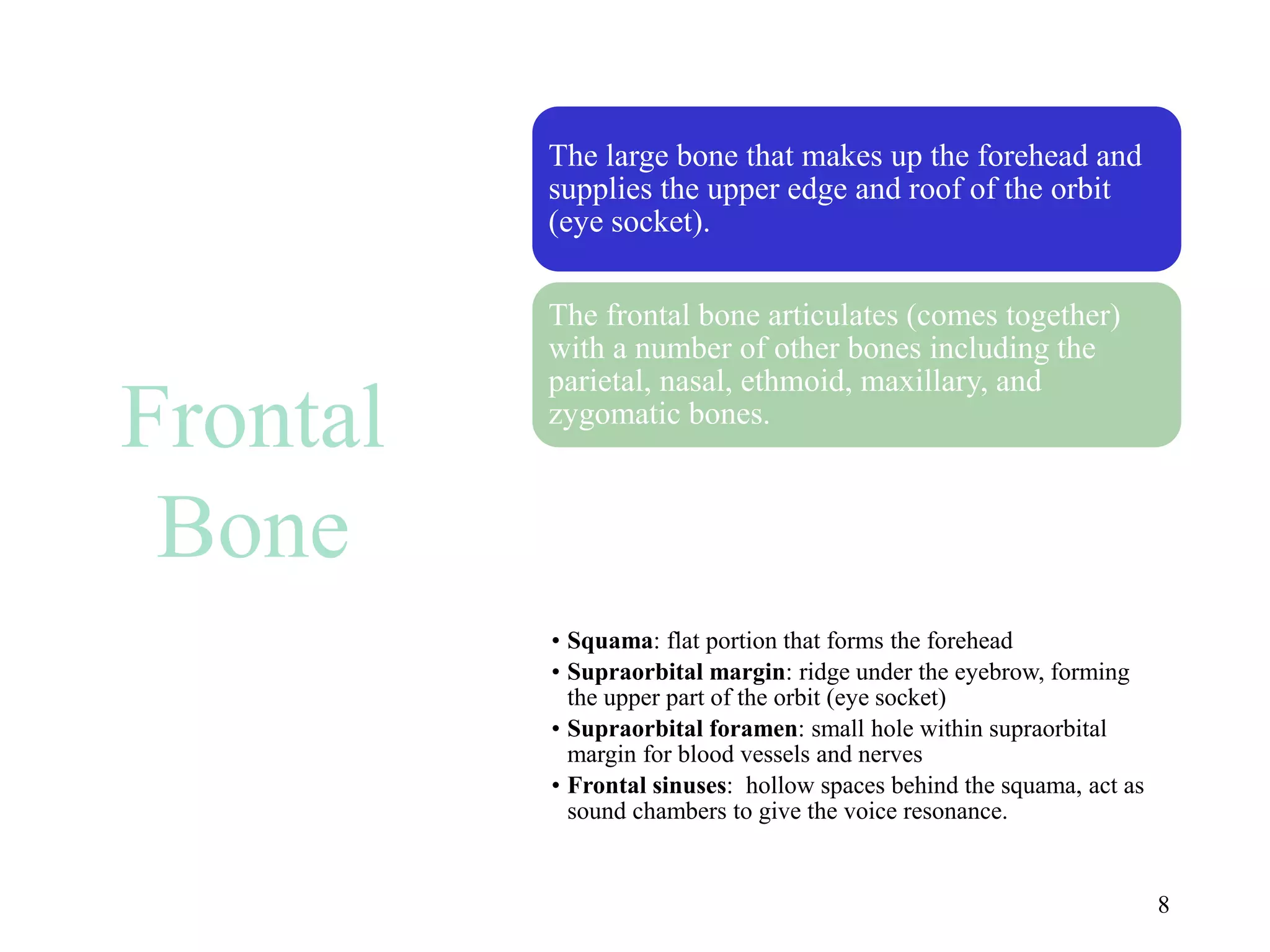 head and neck anatomy 1-3.pdf