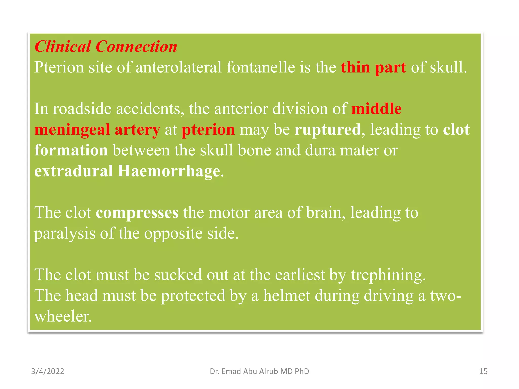 Head and neck anatomy 1 skull & neck bones | PPTX