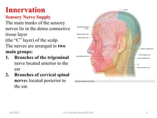 Head and neck anatomy 2 scalp & face | PPTX