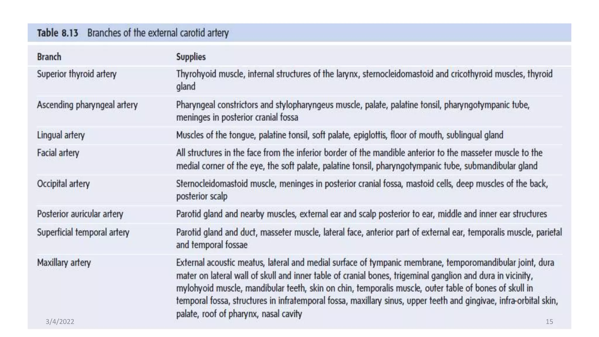 Head and neck anatomy 4 the neck | PPTX