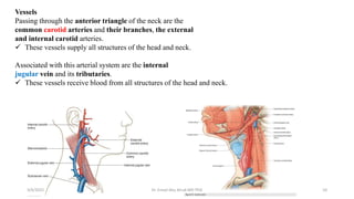 Head and neck anatomy 4 the neck | PPT