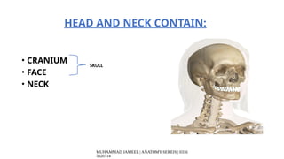 Head and neck anatomy | osteology of head and neck | PPTX