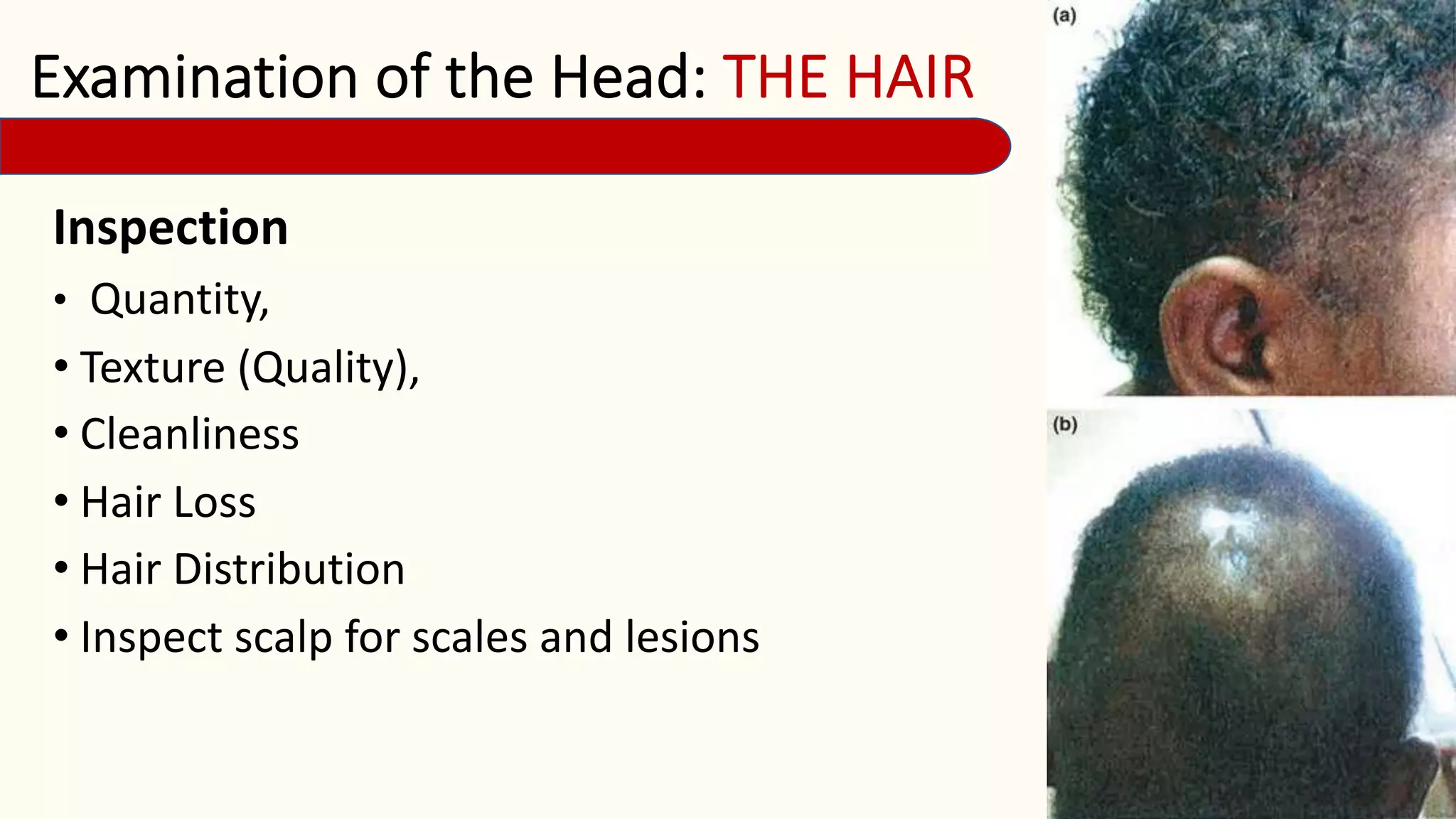 HEAD AND NECK ASSESSMENT For 1.1.pdf