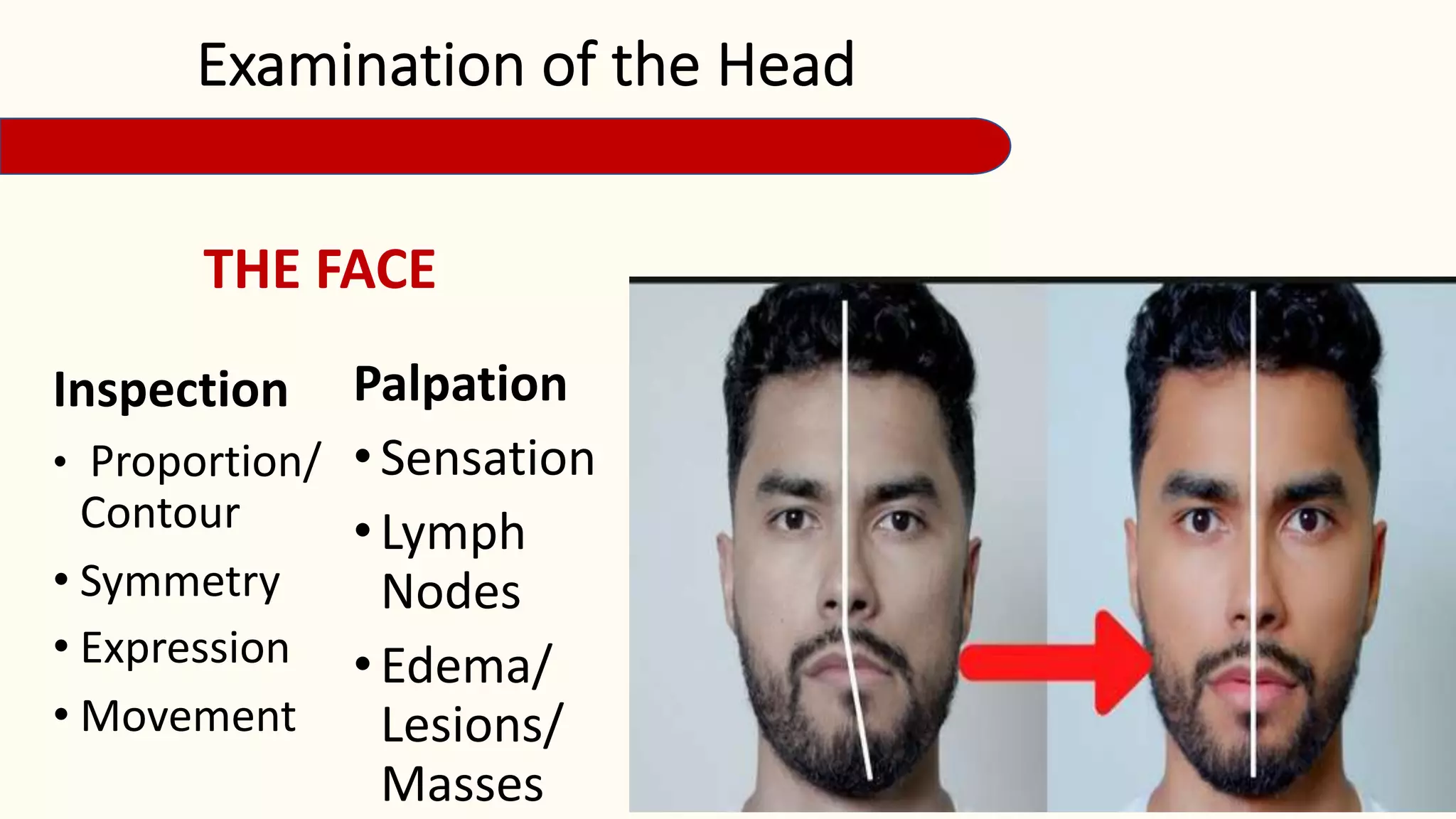 HEAD AND NECK ASSESSMENT For 1.1.pdf