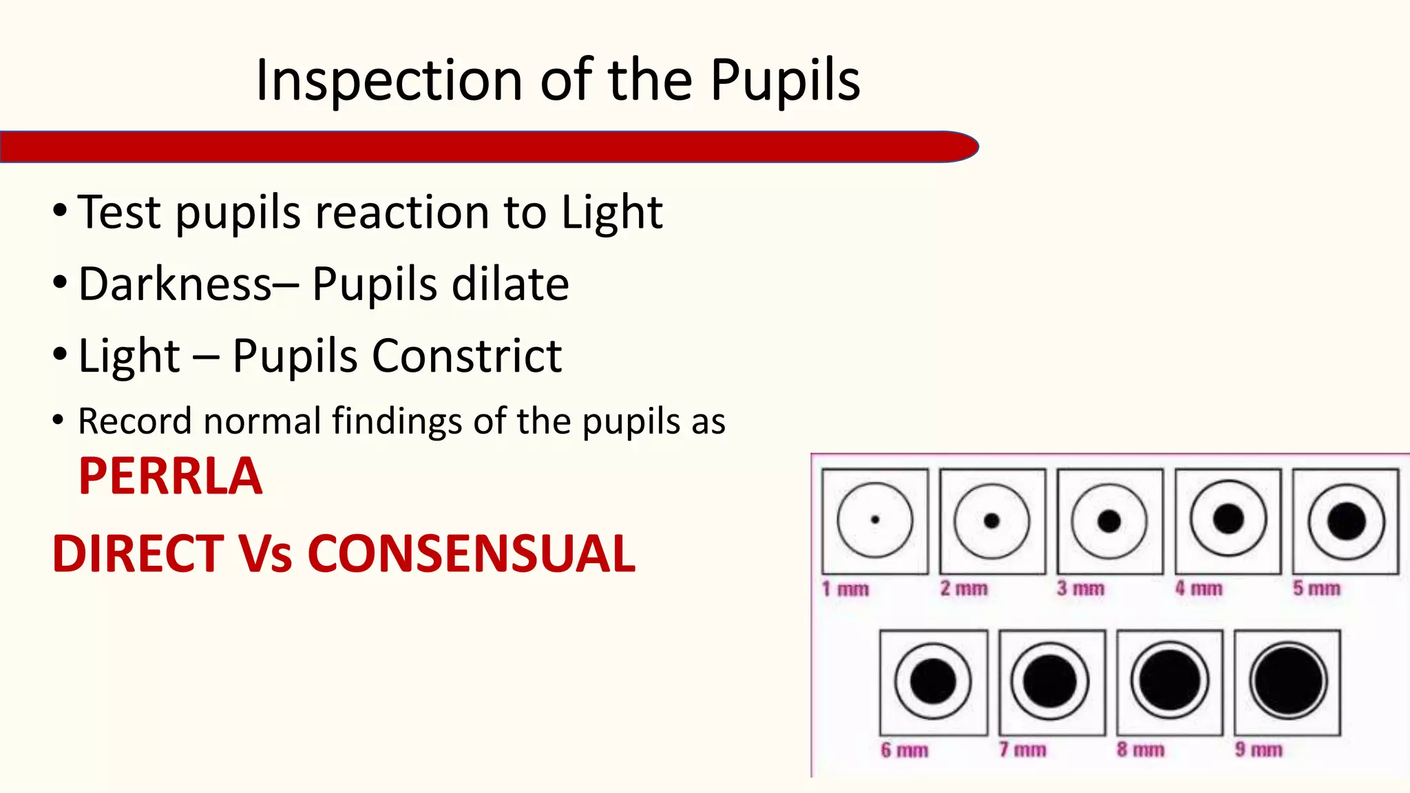 HEAD AND NECK ASSESSMENT For 1.1.pdf