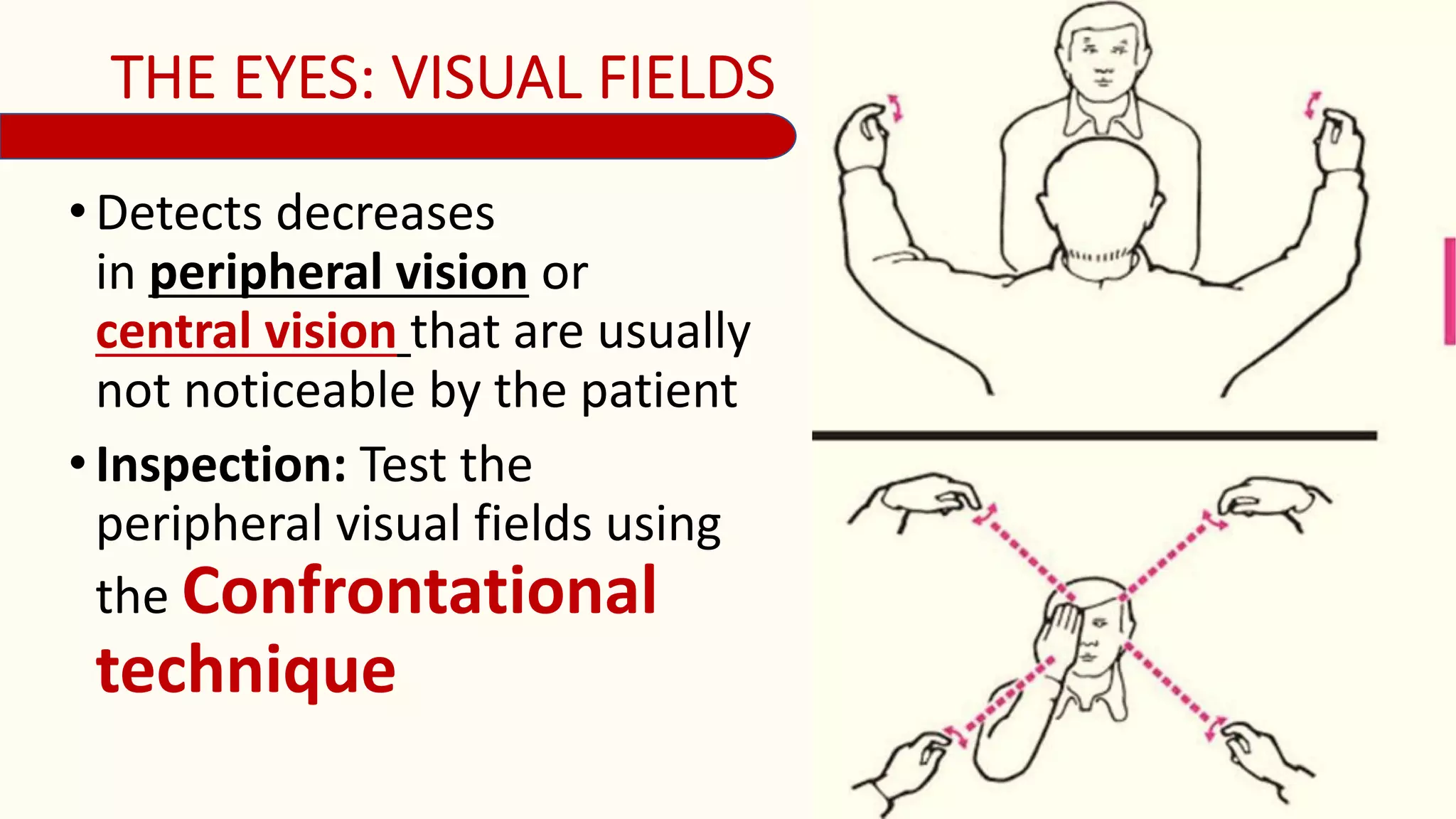 HEAD AND NECK ASSESSMENT For 1.1.pdf