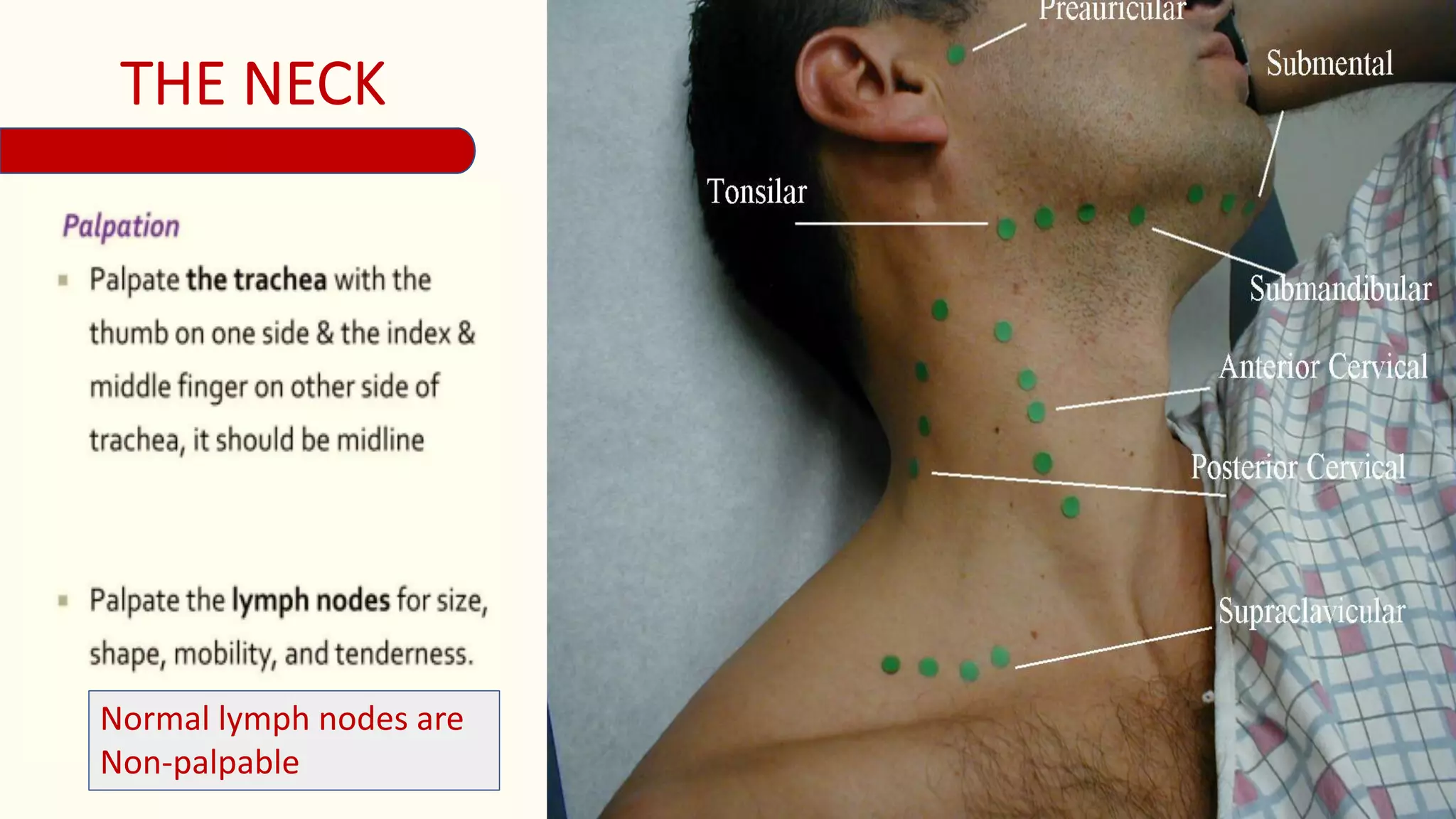 HEAD AND NECK ASSESSMENT For 1.1.pdf