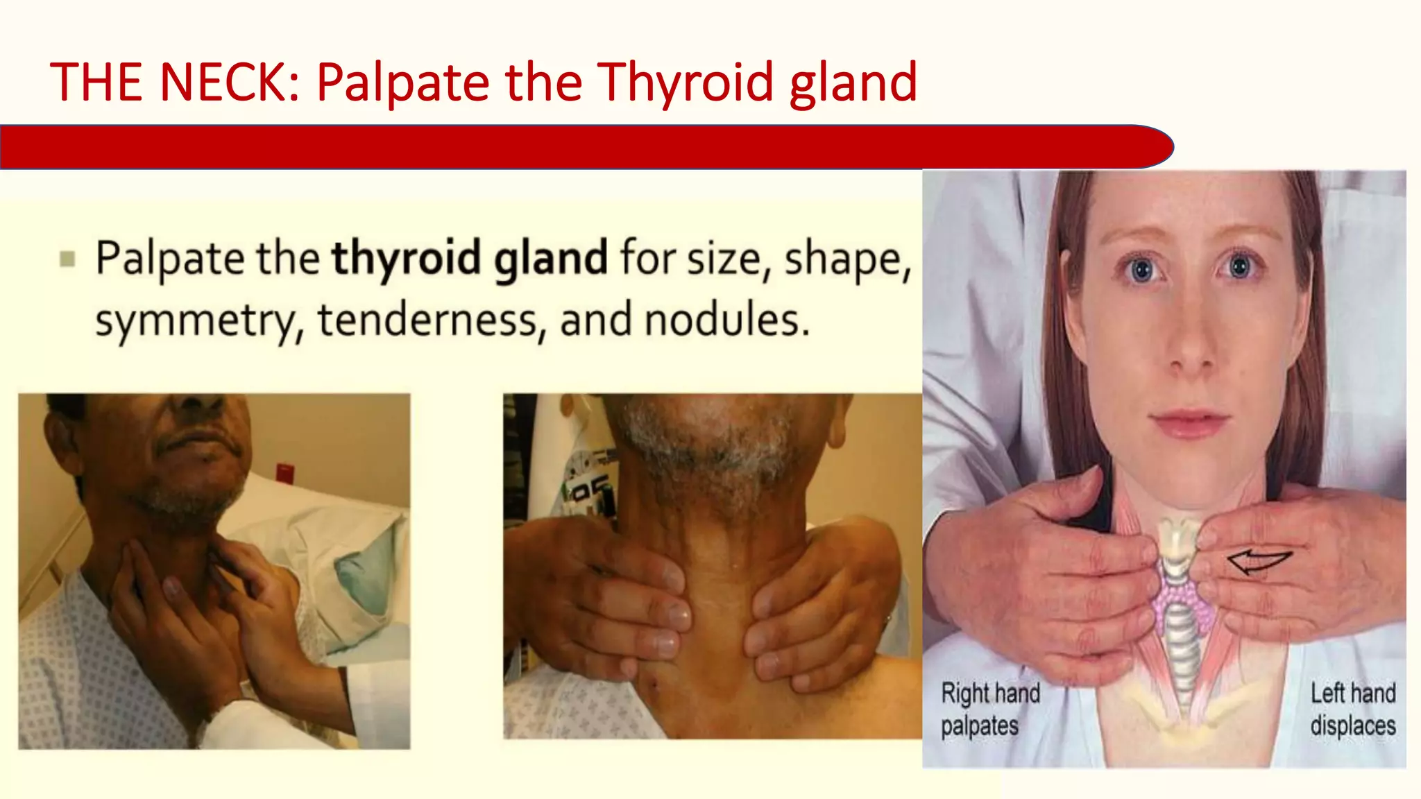 HEAD AND NECK ASSESSMENT For 1.1.pdf