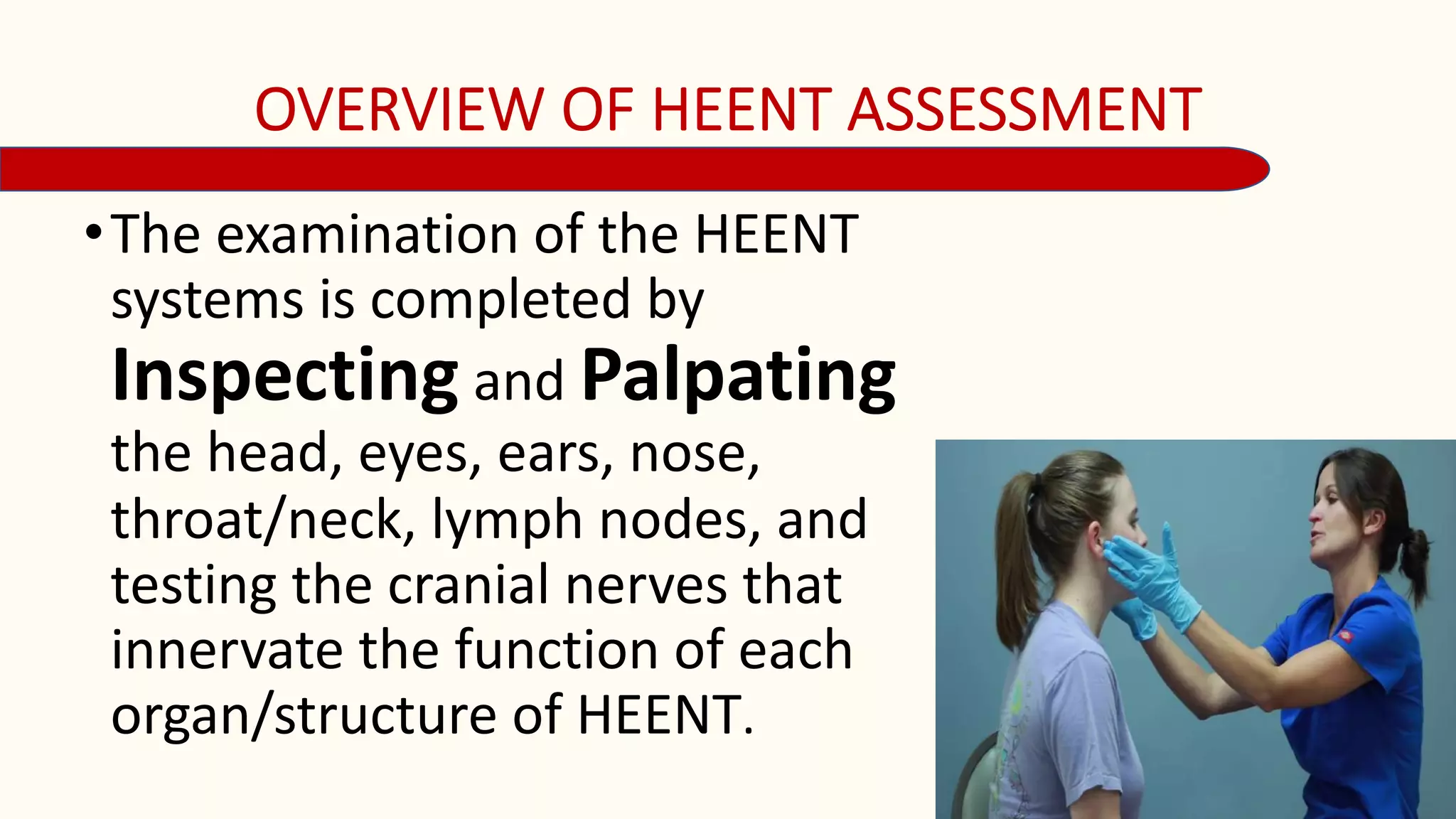 HEAD AND NECK ASSESSMENT For 1.1.pdf