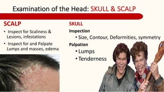 HEAD AND NECK ASSESSMENT For 1.1.pdf