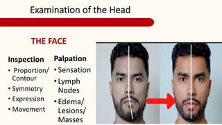 HEAD AND NECK ASSESSMENT For 1.1.pdf