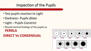 HEAD AND NECK ASSESSMENT For 1.1.pdf