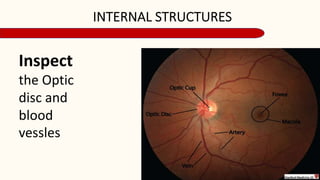 HEAD AND NECK ASSESSMENT For 1.1.pdf
