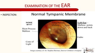 HEAD AND NECK ASSESSMENT For 1.1.pdf