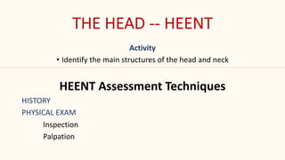 HEAD AND NECK ASSESSMENT For 1.1.pdf