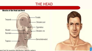 HEAD AND NECK ASSESSMENT For 1.1.pdf