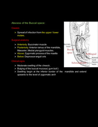 Deep Spaces infection of the Head and Neck | DOCX