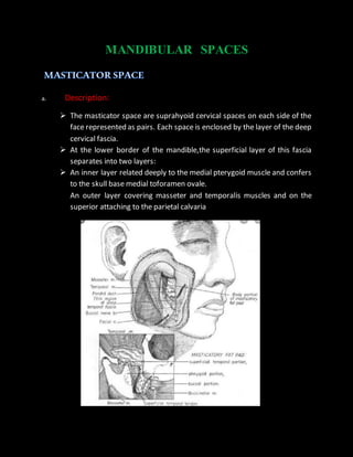 Deep Spaces infection of the Head and Neck | DOCX