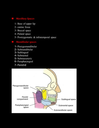 Deep Spaces infection of the Head and Neck | DOCX